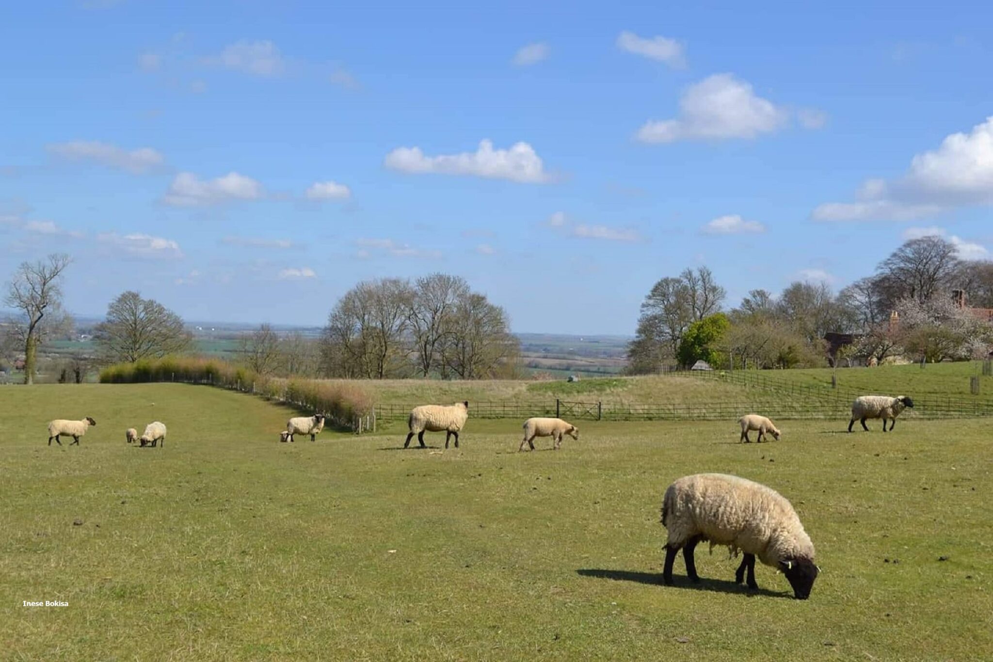 Out and About - Pirton Village Hertfordshire